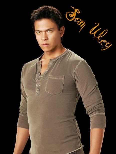 Bella's Wolf Pack : Sam