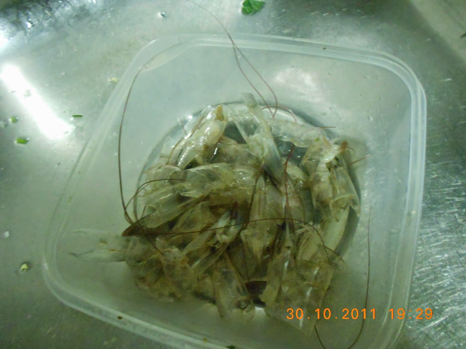 namakucella: PETUA ELAKKAN KULIT UDANG BUSUK...!!!