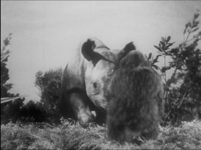 Roman's Movie Reviews and Musings: Tarzan and His Mate (1934)