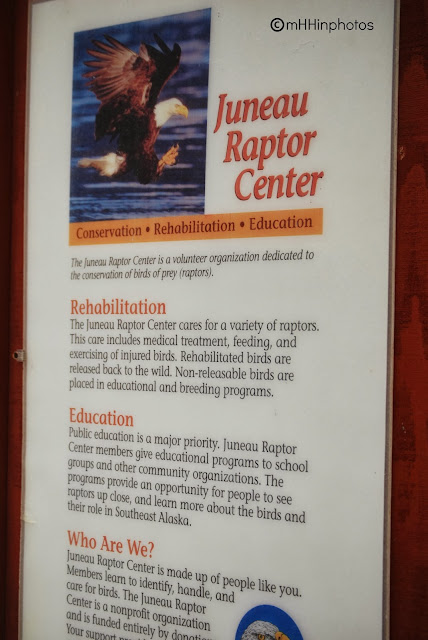 my Heritage Happens in Photos: Juneau, Alaska ~ Raptor Center