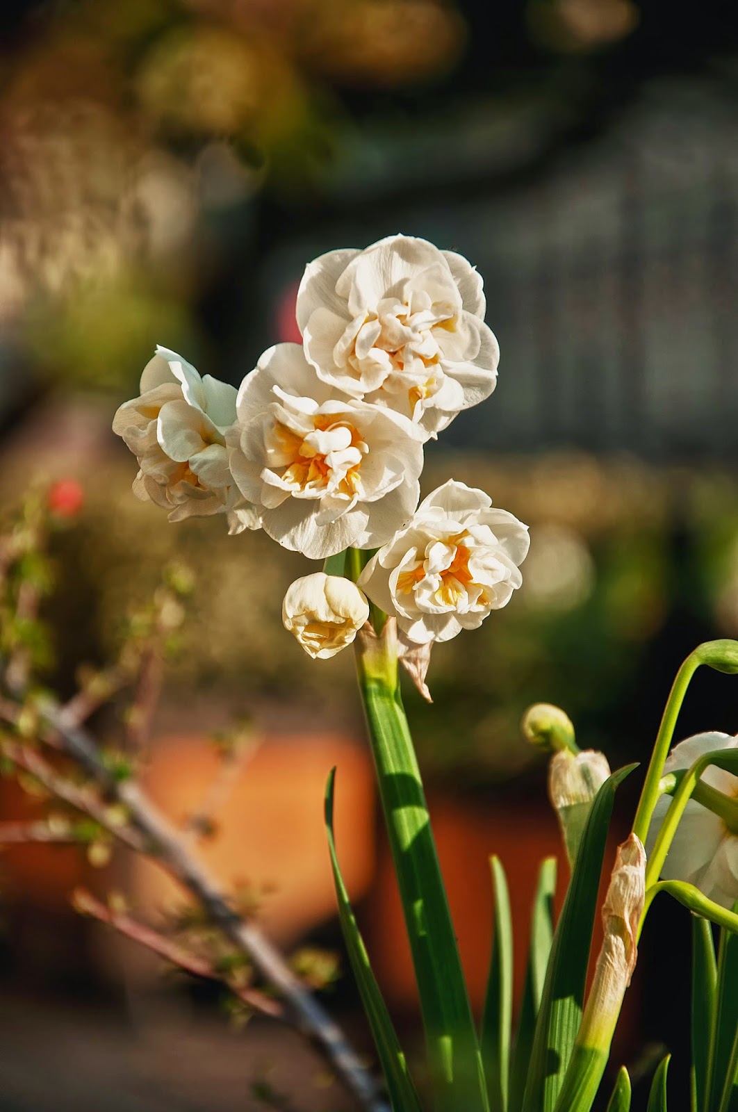 Torino In My eyes: April 2015