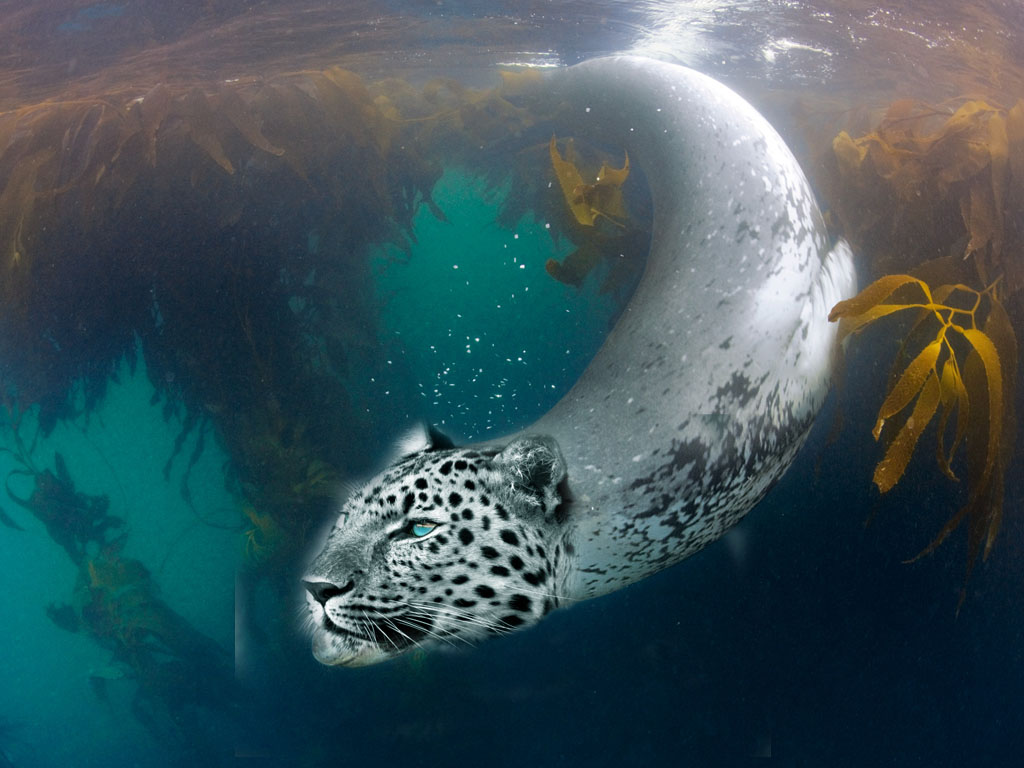 kyles page: October 2012