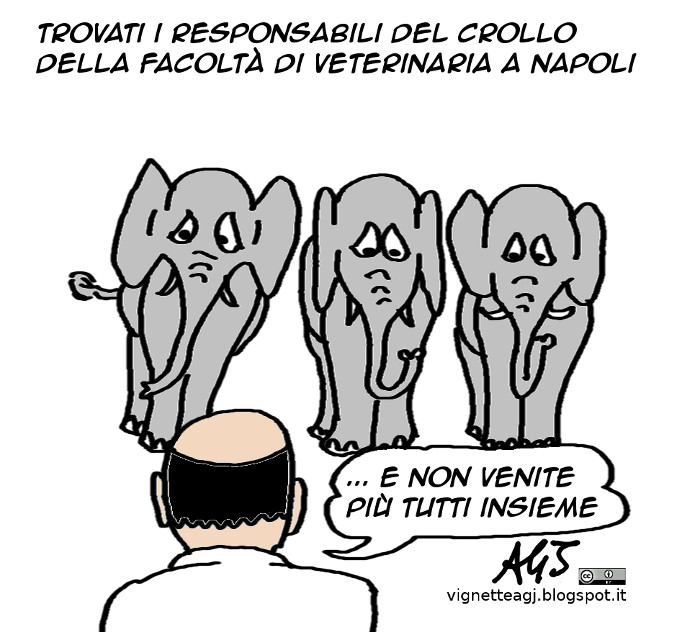 Vignette di AGJ: dicembre 2015
