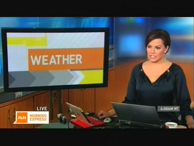 Ladies in Satin Blouses: Robin Meade - black silk top