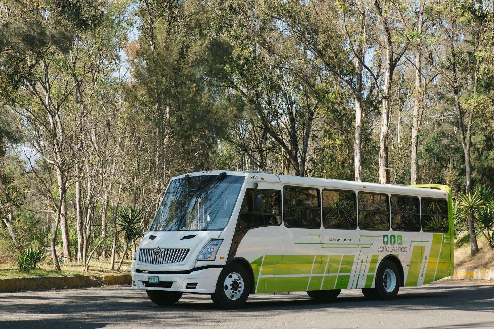 Transporte y movilidad, dos claves de la sostenibilidad | SCHOLASTICO