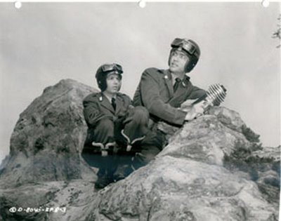 Ask Arlene: Cochlear Implants and Auditory Memory