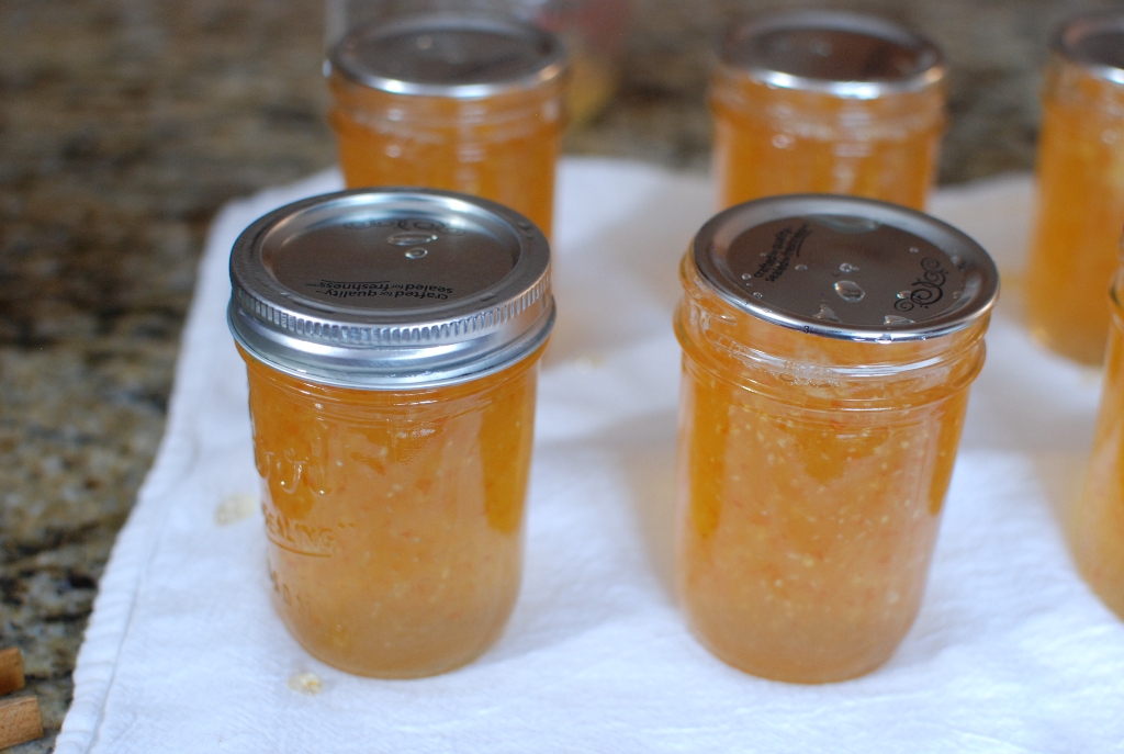 Habanero Ginger Jelly - Simply So Good