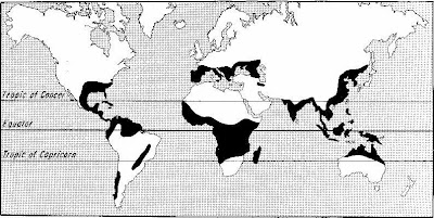 Infection Landscapes: Whipworm