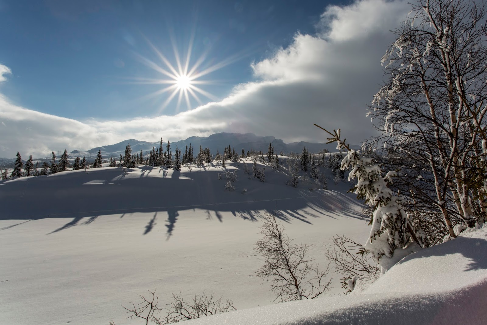 VELKOMMEN TIL KJERSTIS LØSE TRÅDER: Vinter, snøsmelting, stillhet og ...