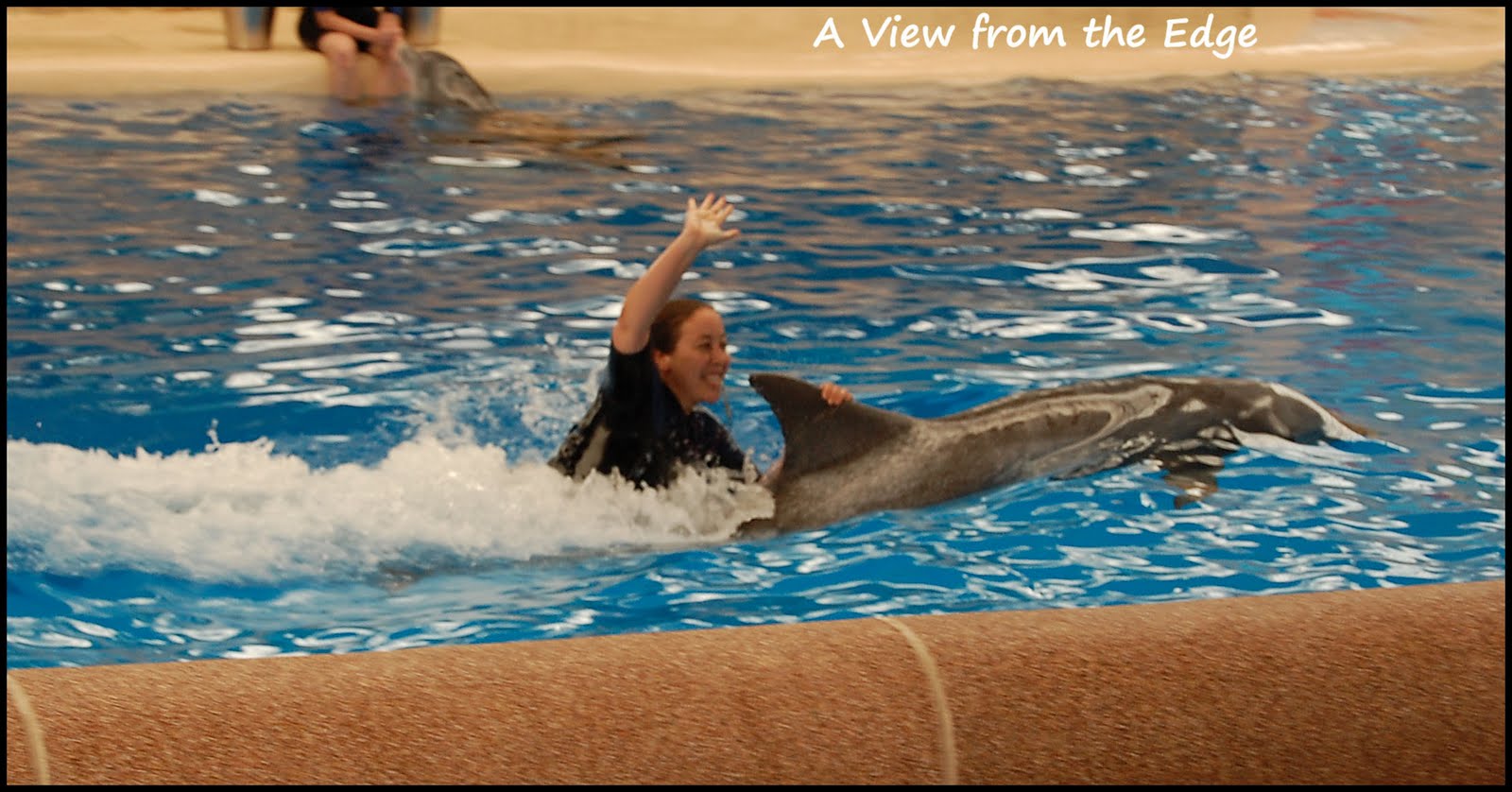 A View from the Edge: Hanging out at the Zoo Part 2