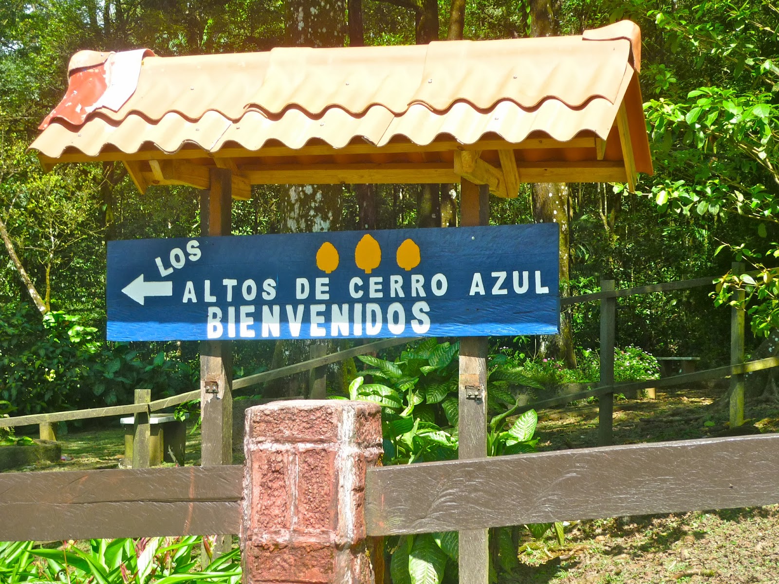 Cerro Azul, Panama, WRITTEN Report – Panama For Real