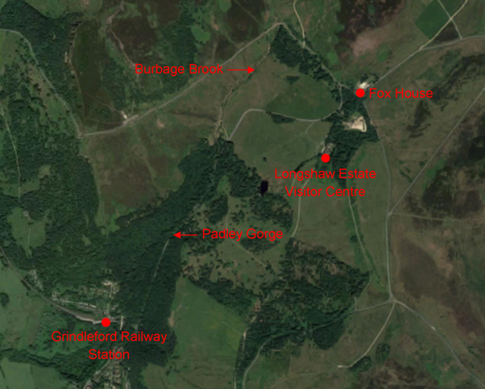 The Language of Stone: The Longshaw Estate