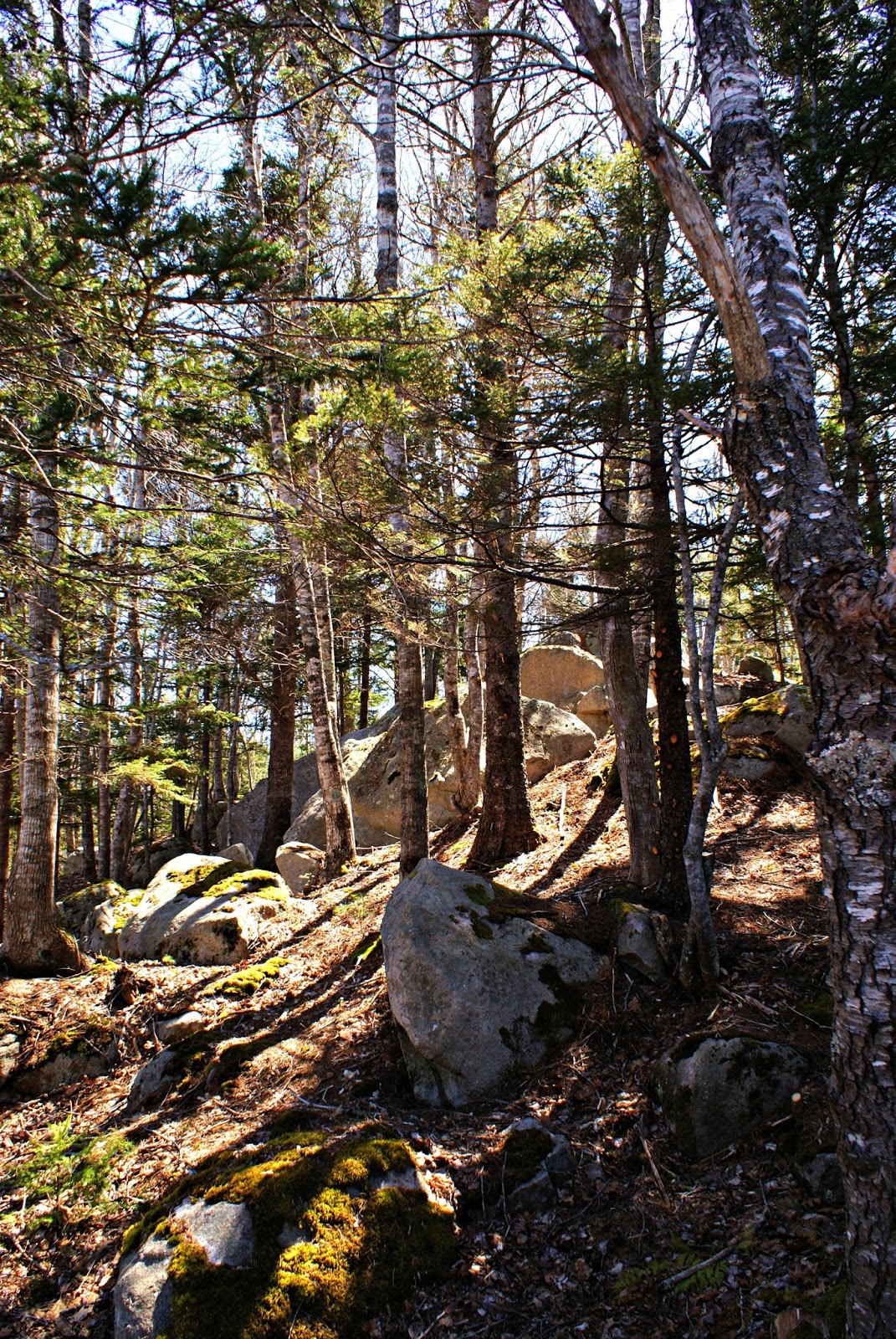 Adventures on the Eastern Edge: May 2013