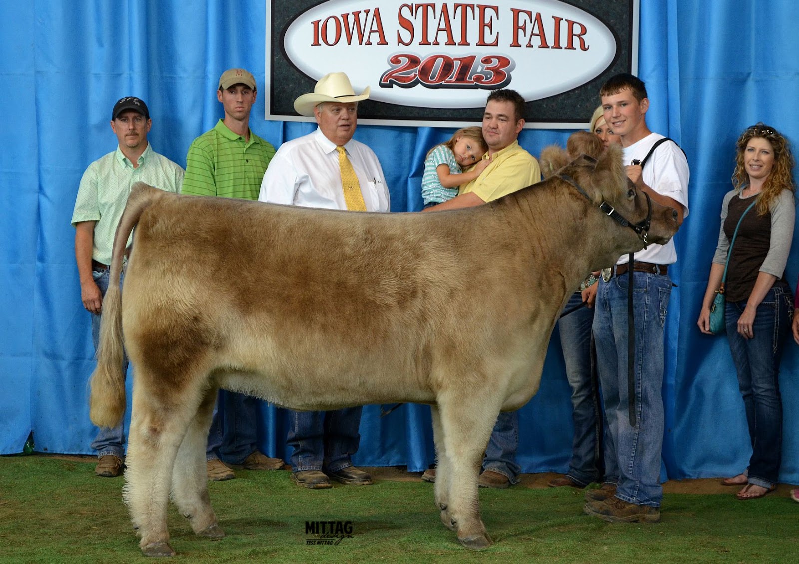 MITTAG Blog: Iowa State Fair 4-H Market Heifers