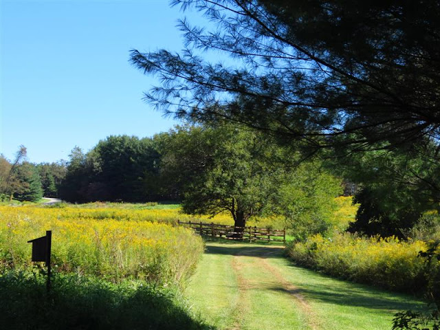 Viewing nature with Eileen: Hashawha Nature Center