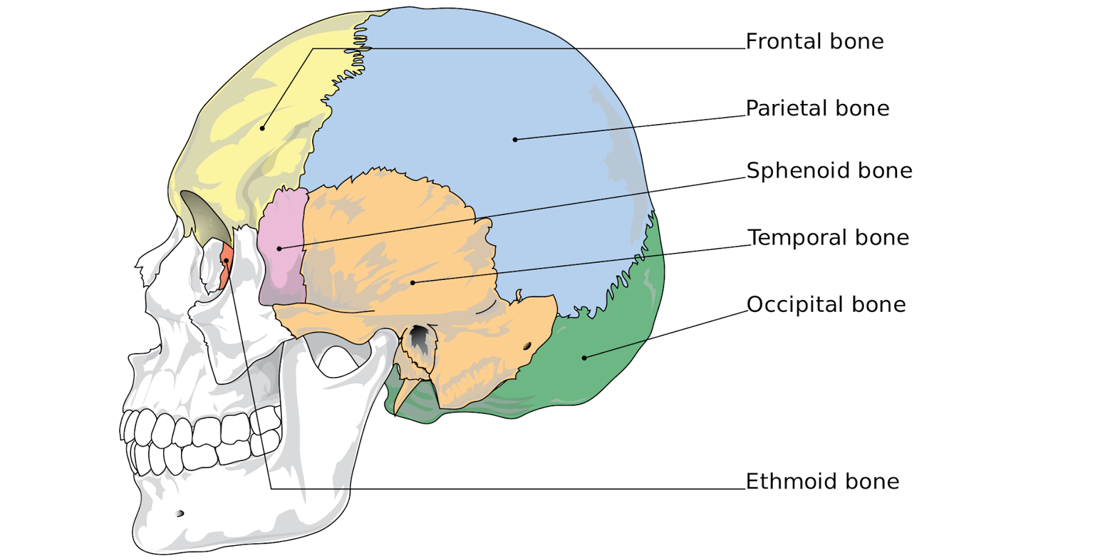 Journal and Conferences on Biomedical Engineering: October 2016