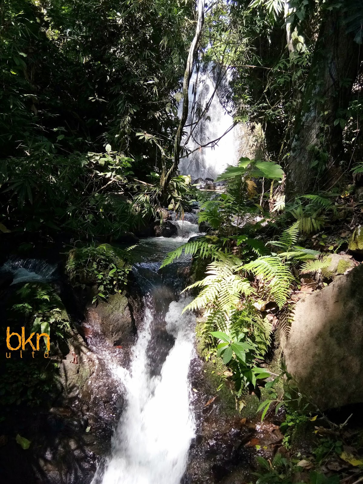TREKERO: BUGWAK: The Watery Barangay of Dangcagan, Bukidnon