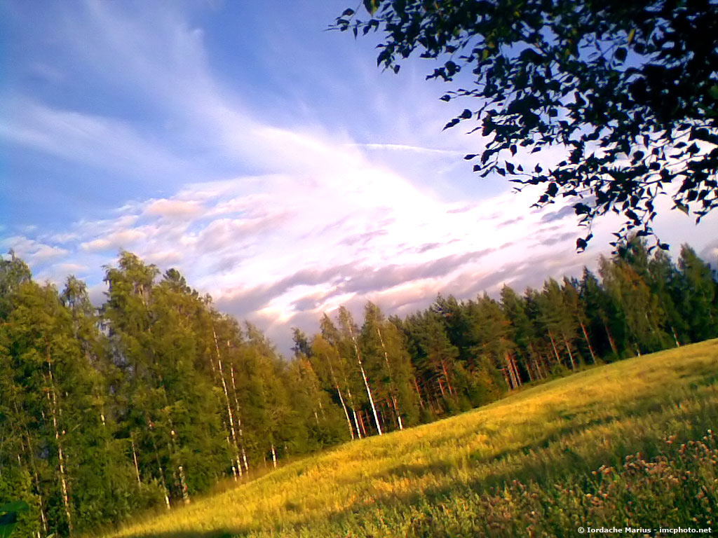 Free wallpapers: nature scenes