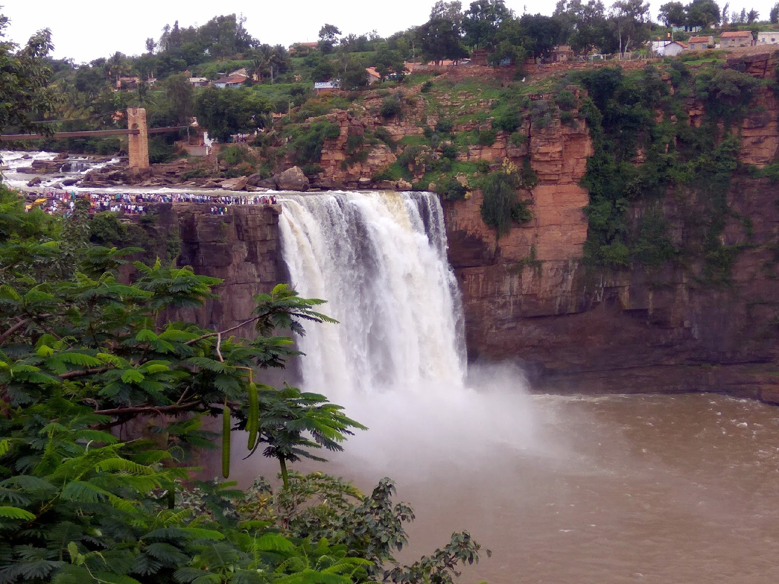 Sharing My Travel Experiences: Experience with Western Ghats untouched ...