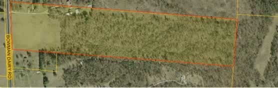 Wild Things in a Box: Planning @ Plan Bee