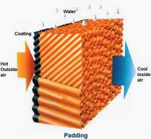 Nguyên lý hoạt động của tấm Cooling pad trong máy làm mát bằng hơi nước ...