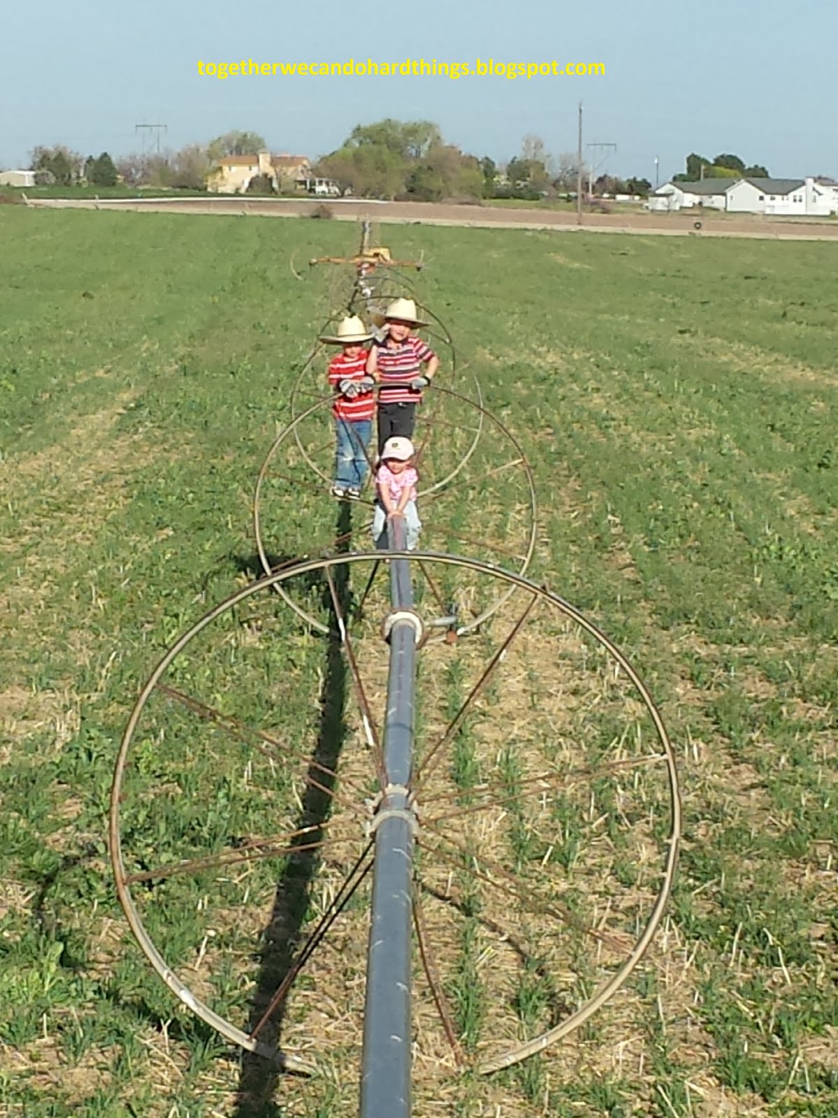 Together We Can Do Hard Things: The Crooked Wheel Lines of Our Lives