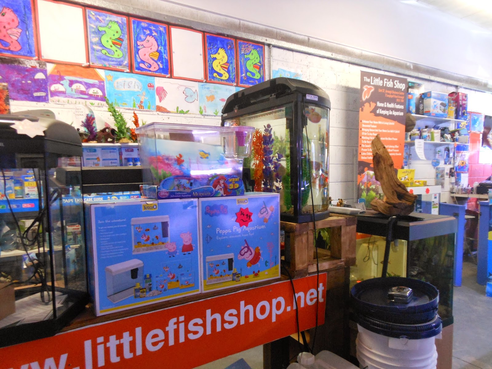 The Little Fish Shop