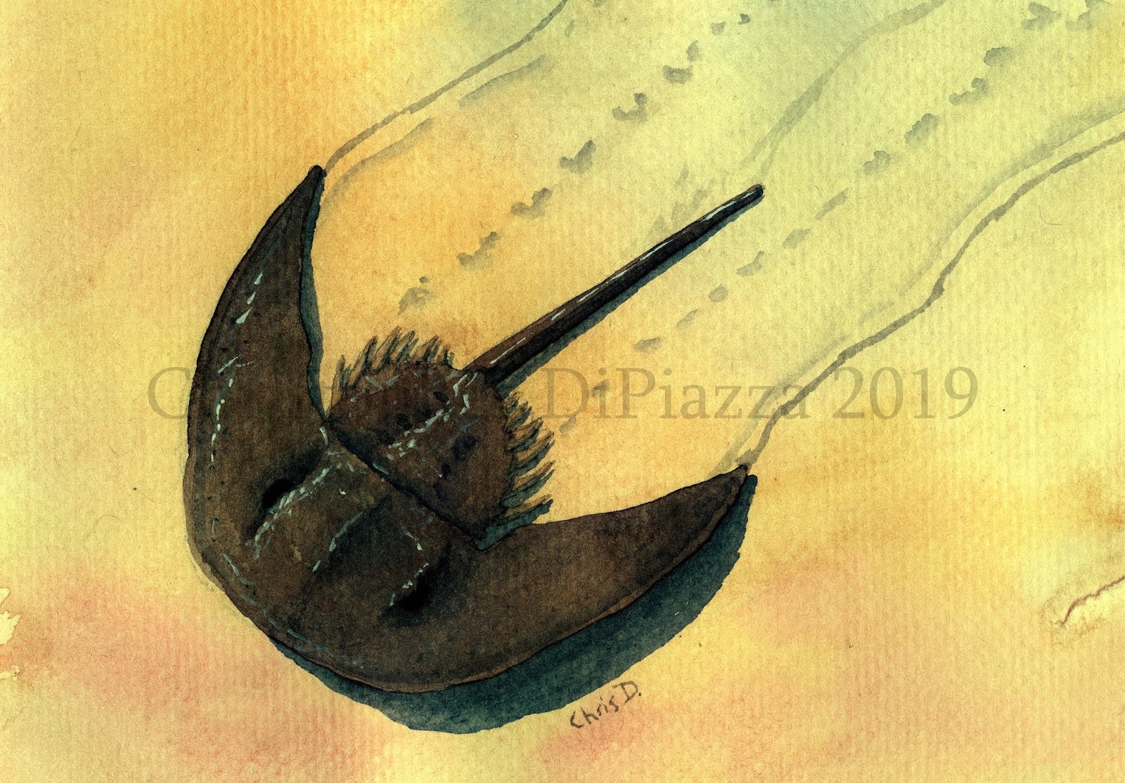 Prehistoric Beast of the Week: Vaderlimulus: Beast of the Week