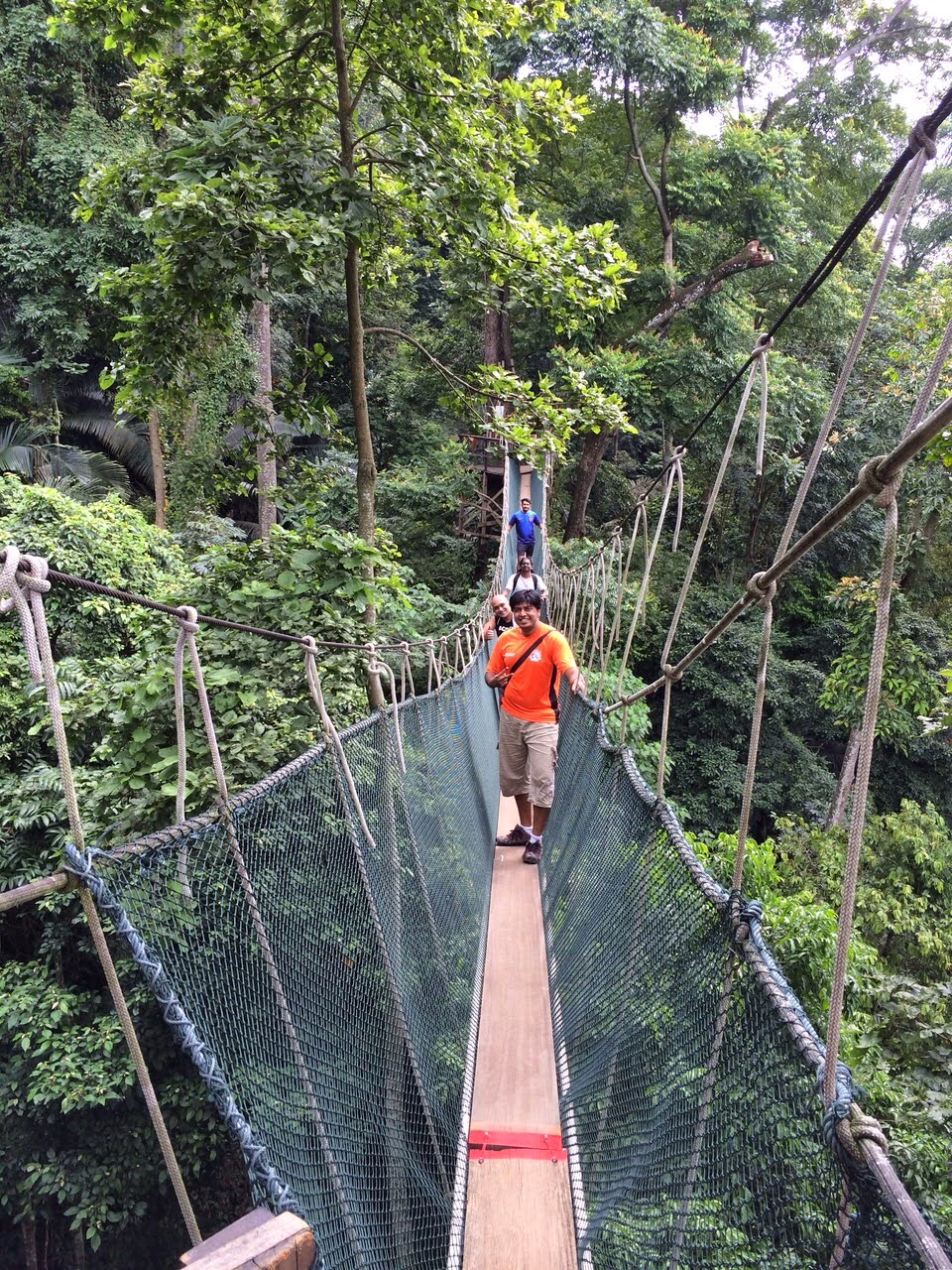Canopy Walk at FRIM on 30 November 2014