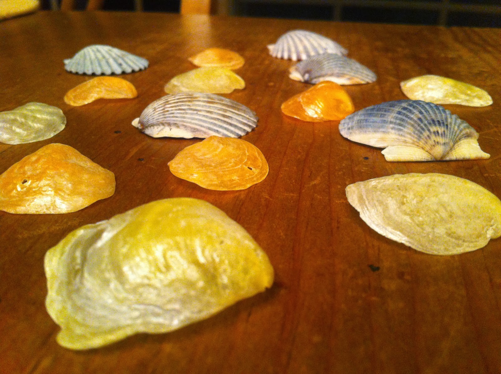 This Blonde's Blog : DIY Homemade Christmas Gift: Seashell Necklace