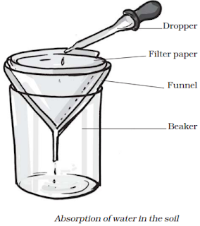 Notes of Ch 9 Soil Class 7th Science