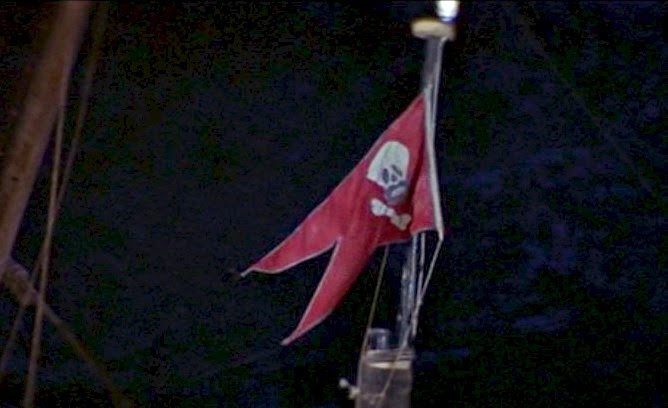 The Voice of Vexillology, Flags & Heraldry: Bluto Pirate Flag from ...