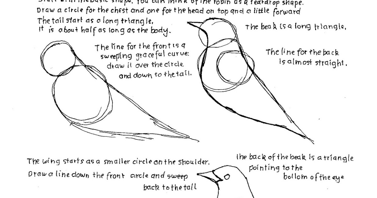 How to Draw Worksheets for The Young Artist: How To Draw A Robin Bird ...