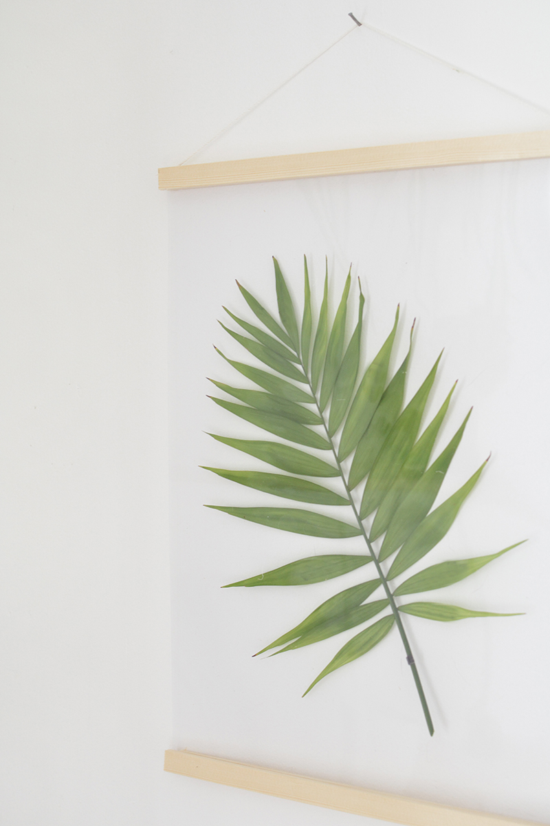 DIY botanical picture frames — Caroline Burke | Burkatron