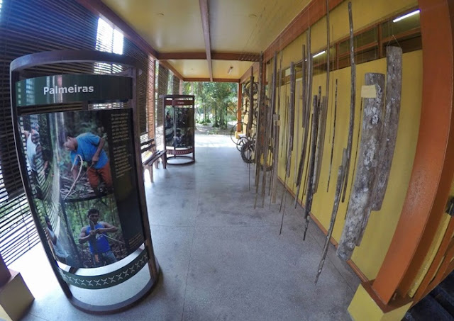 Uma visita ao Musa, o Museu da Amazônia em Manaus [Reserva Florestal ...