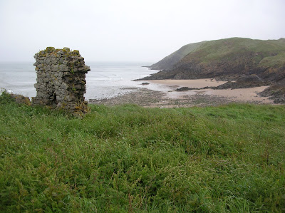 A lifetime of Islands: Island 166 - Burry Holms, Gower, Wales