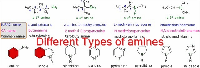 Manash (Subhaditya Edusoft): Organic Chemistry Part 4 : Amines