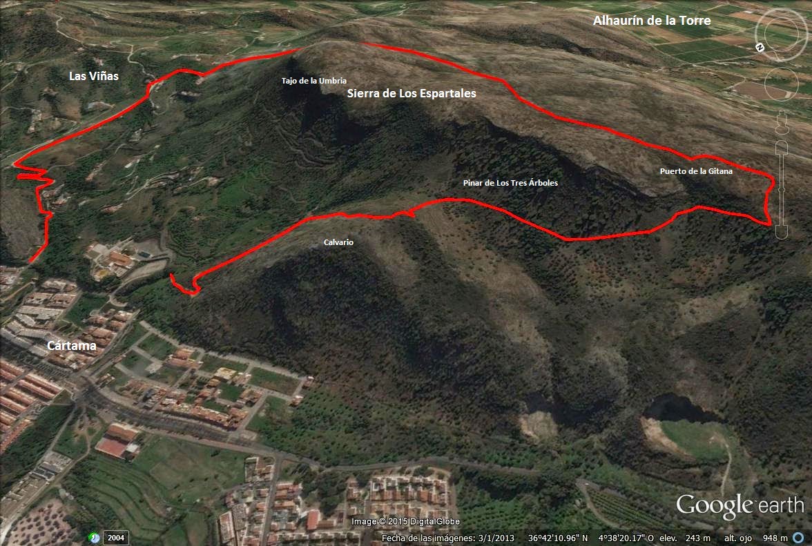 El Blog de Flora y Medio Ambiente de la Sierra de Cártama
