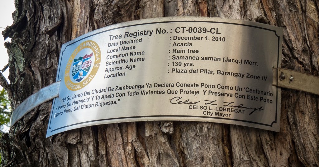 A Tree Saving Sign in Chabacano