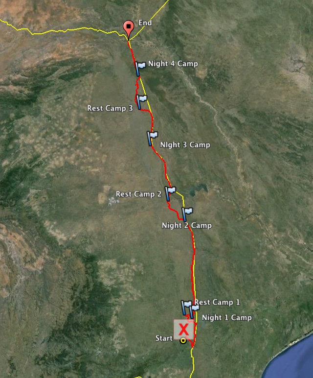 My Thoughts From The Deep End : Kruger Park Lebombo Eco Trail Highlights