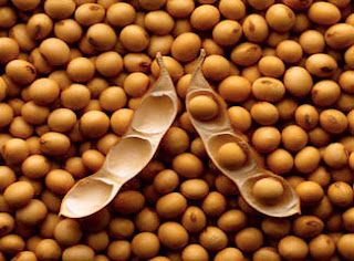 Penghalus kulit berminyak dari kedelai | OYIN AYASHI