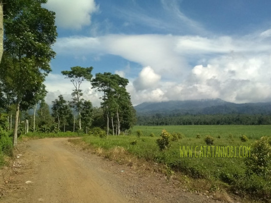 Air Terjun Telunjuk Raung, Banyuwangi - Kesejukan Alami Di Lereng ...