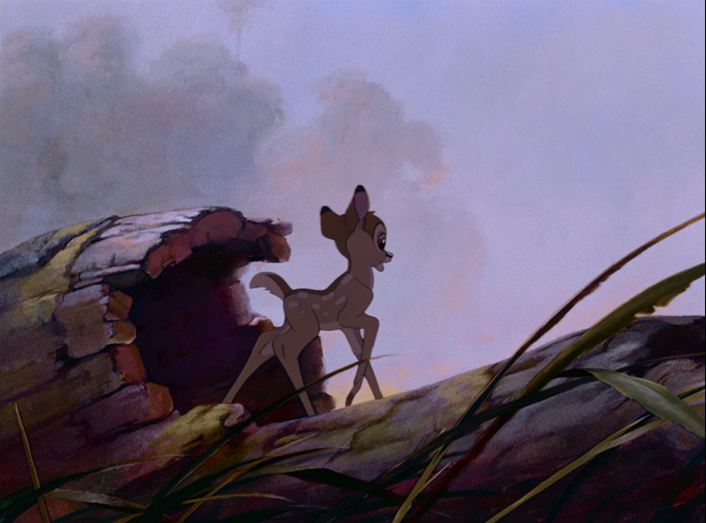 My Pointless Rambling: 2017