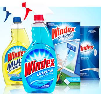 Laugh, Love, and Craft: .75/1 Windex Coupon