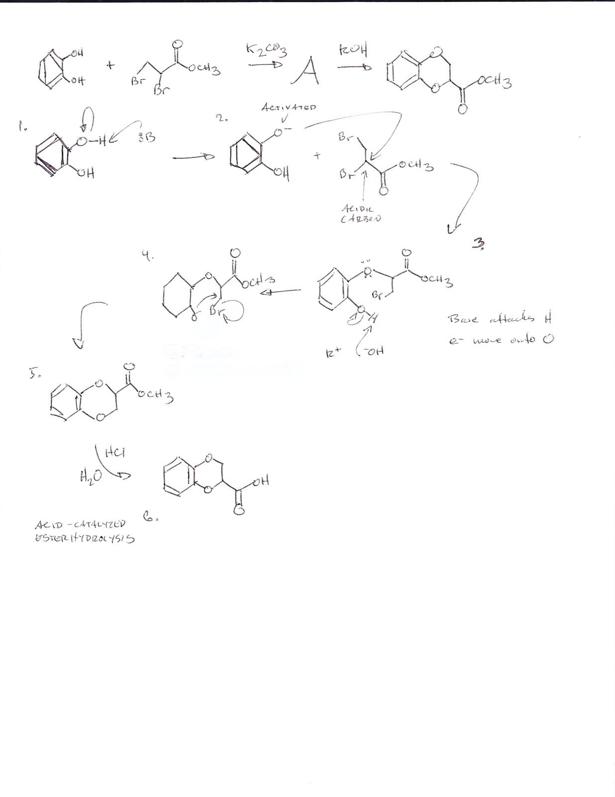 Organic II (CHE 352-01 with K. Petersen): Bruce Chapter 17 #76 (a)