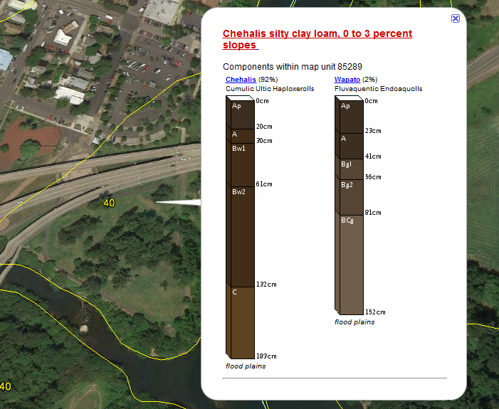 Riverfront Park Field Work