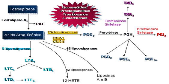 Doença de Crohn: novas perspectivas: Leucotrienos e lipoxinas