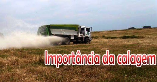 É importante fazer a calagem ? | Agro Rural News