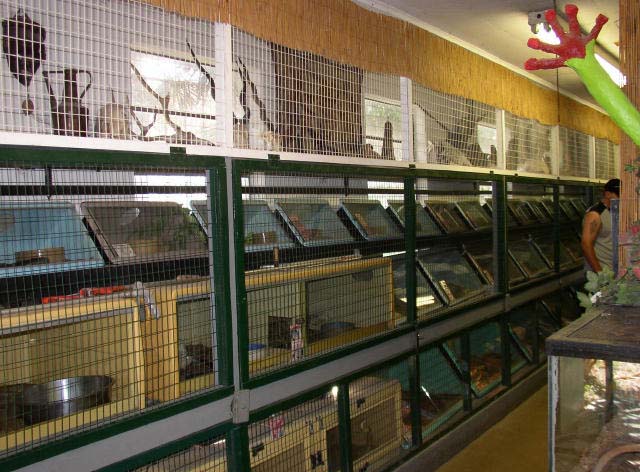 Snake Farming | Modern & Mixed Farming System