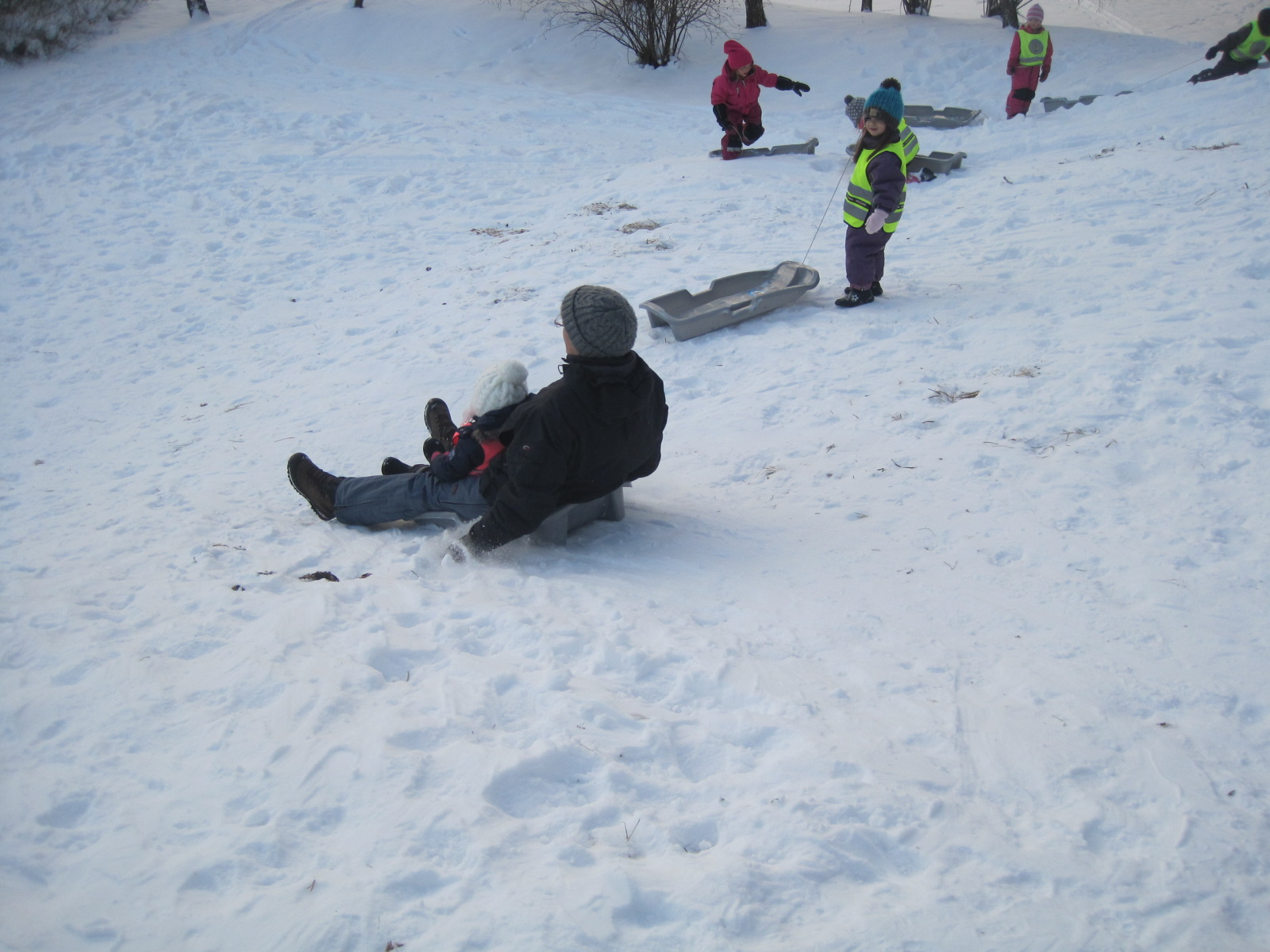 Jordgubben: Vi åker pulka!